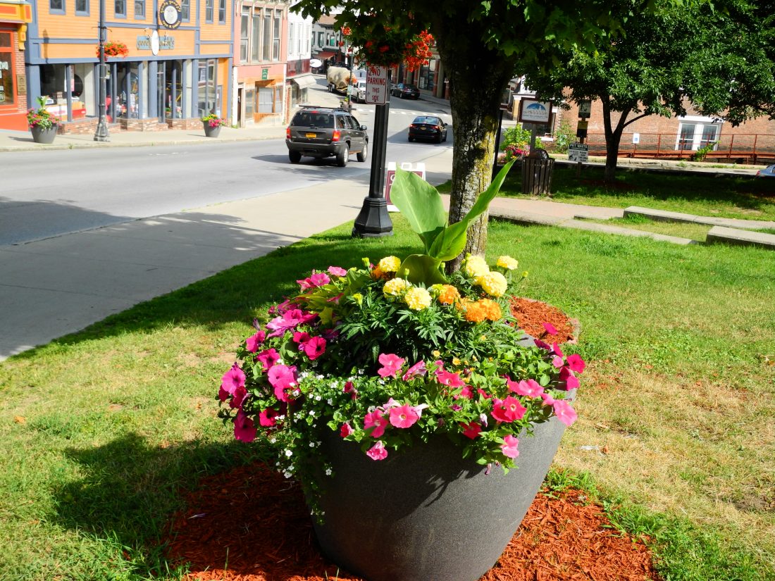 Police arrest teen after flower vandalism spree | News, Sports, Jobs ...